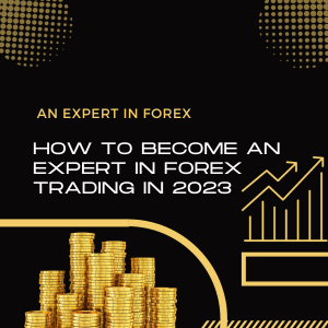 How to Become an Expert in Forex Trading in 2023 - Textrades